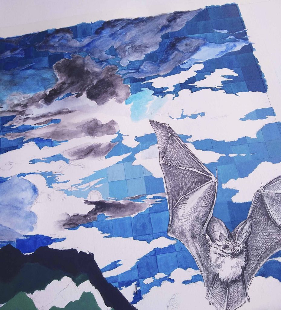 Bats | Eva Menezz - Portfolio - Dibujos